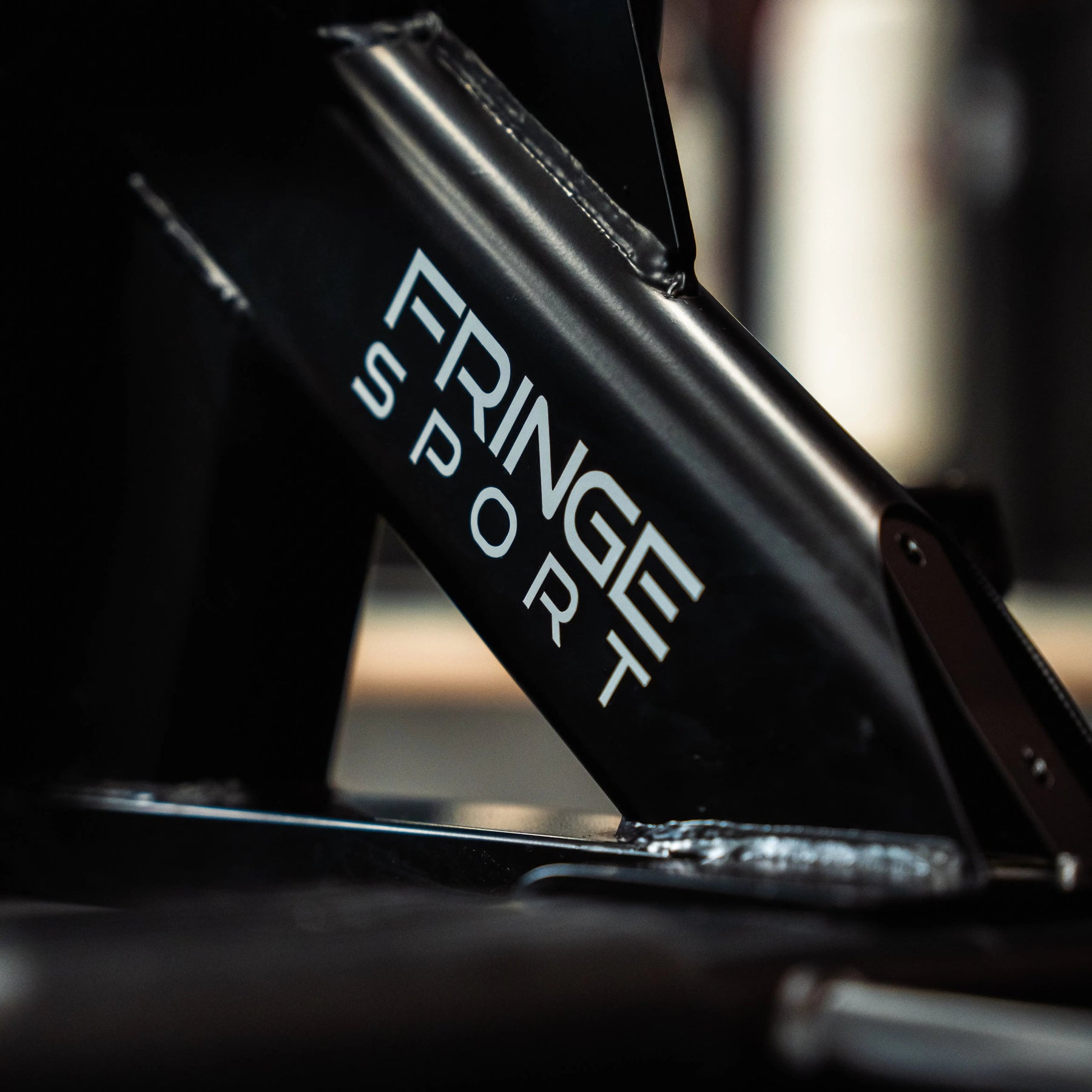 Raptor Air Bike – Fringe Sport