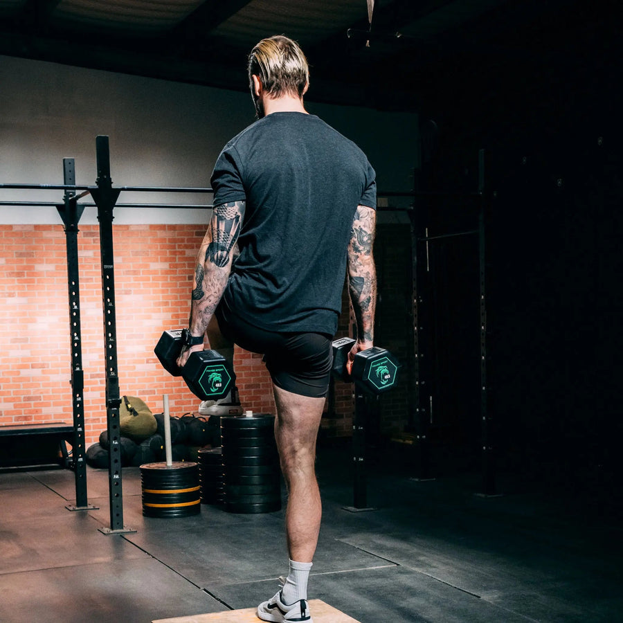 Silverback Dumbbells Complete Set (5lb-50lb) - Fringe Sport