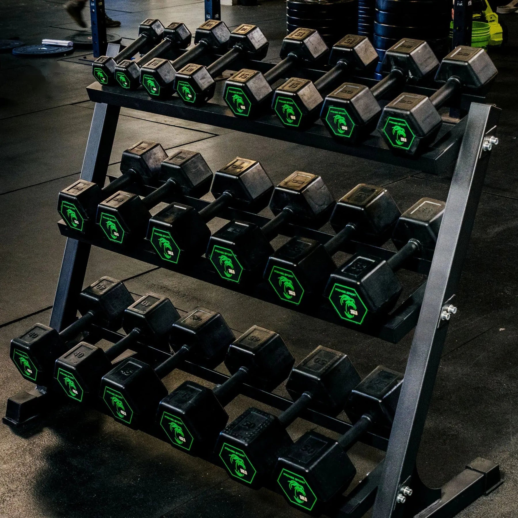 Silverback Dumbbells Complete Set (5lb-50lb) - Fringe Sport