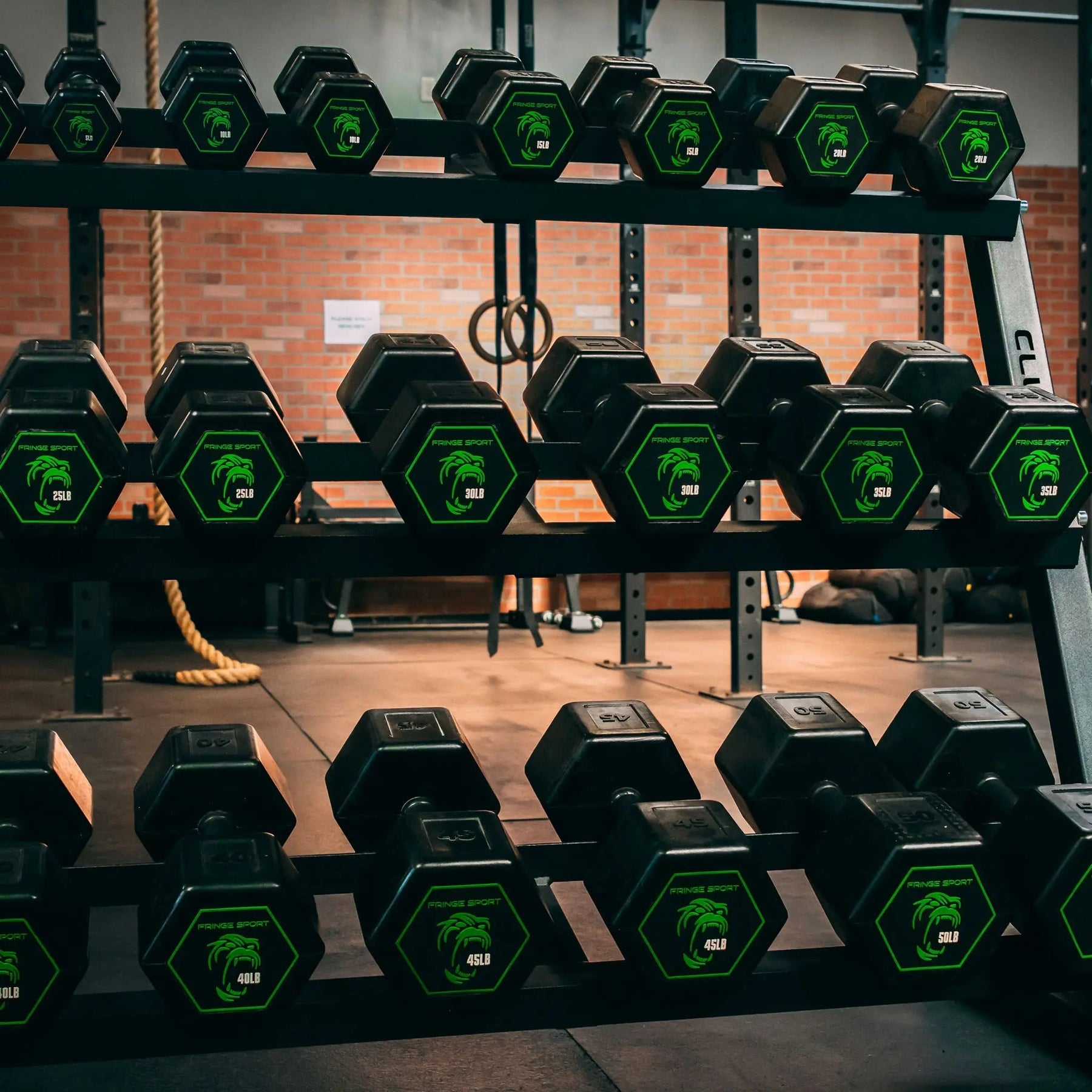 Silverback Dumbbells Complete Set (5lb-50lb) - Fringe Sport