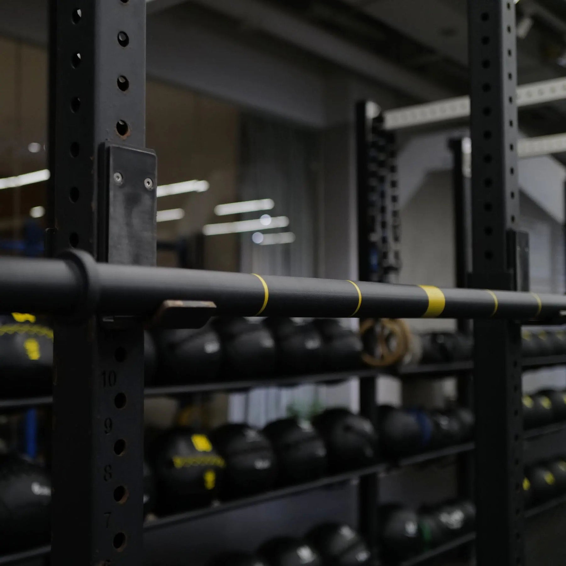 Stubby Axle Barbell - Rackable Shorty Bar - Fringe Sport