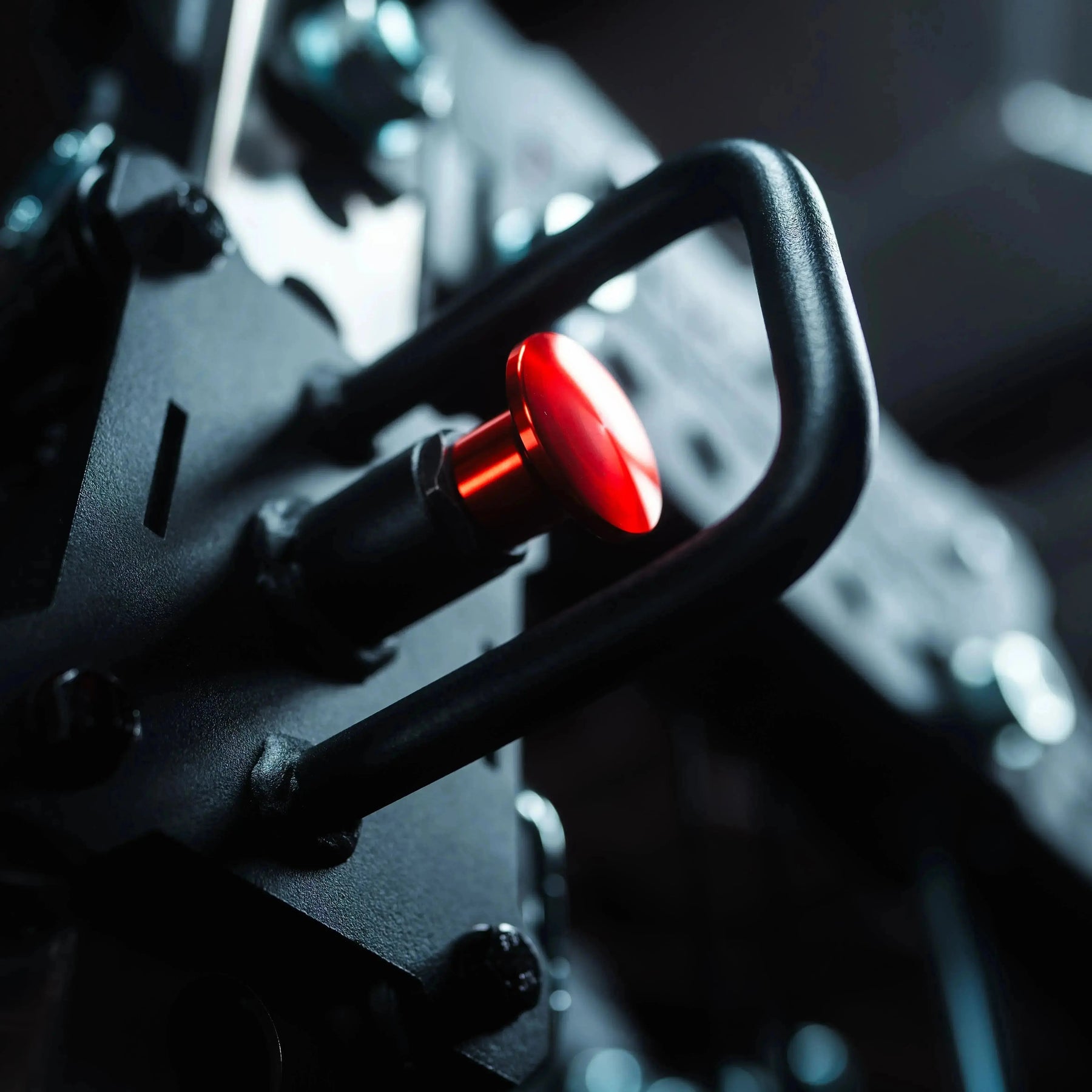 The Dane 2.0 | Half Rack Functional Trainer | Fringe Sport