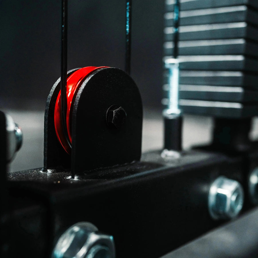 The Dane 2.0 | Half Rack Functional Trainer | Fringe Sport