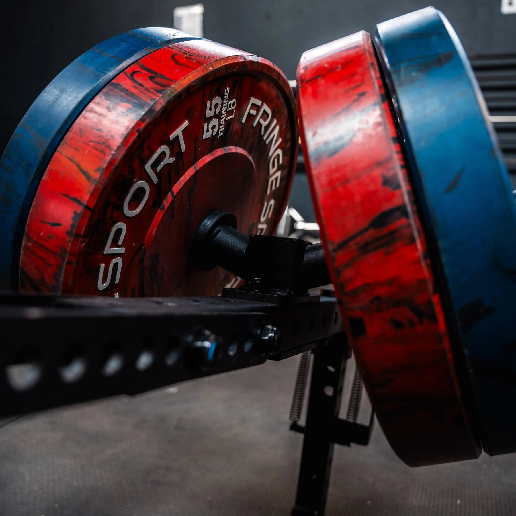 Dual Mounted Weight Horns | Fringe Sport
